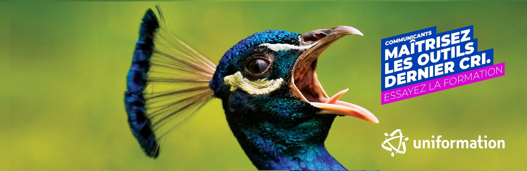 Maîtriser les outils dernier cri. Essayez la formation ! | Uniformation